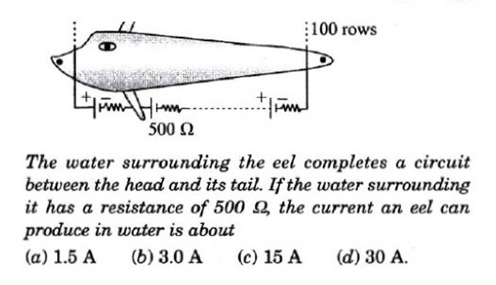 The water surrounding the eel completes a circuit between the head and it..
