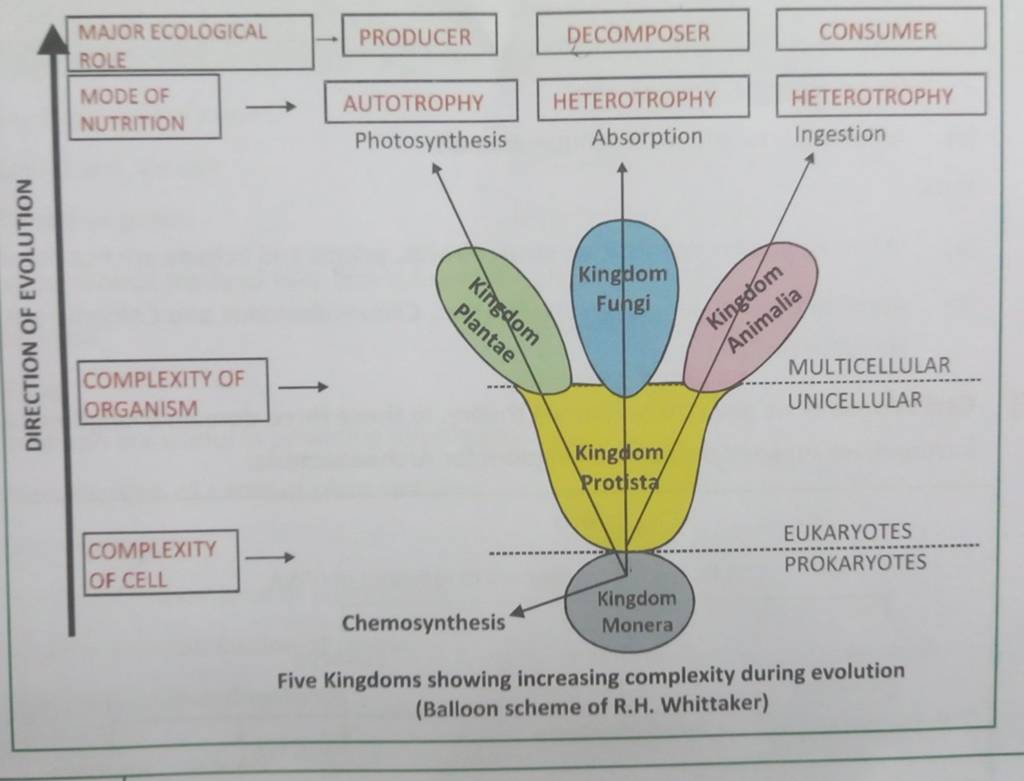 Rh Whittaker FIVE KINGDOM CLASSIFICATION RH Whittaker | PPT