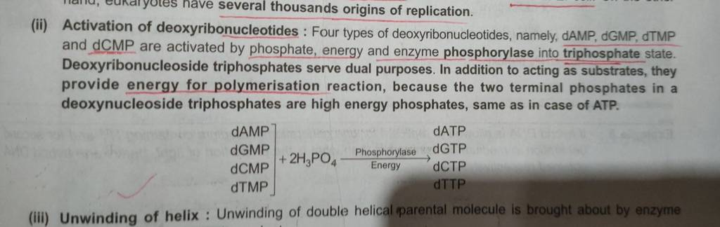 (ii) Activation of deoxyribonucleotides : Four types of deoxyribonucleoti..
