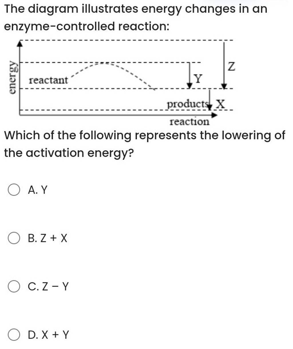 The diagram illustrates energy changes in an enzyme-controlled reaction:
