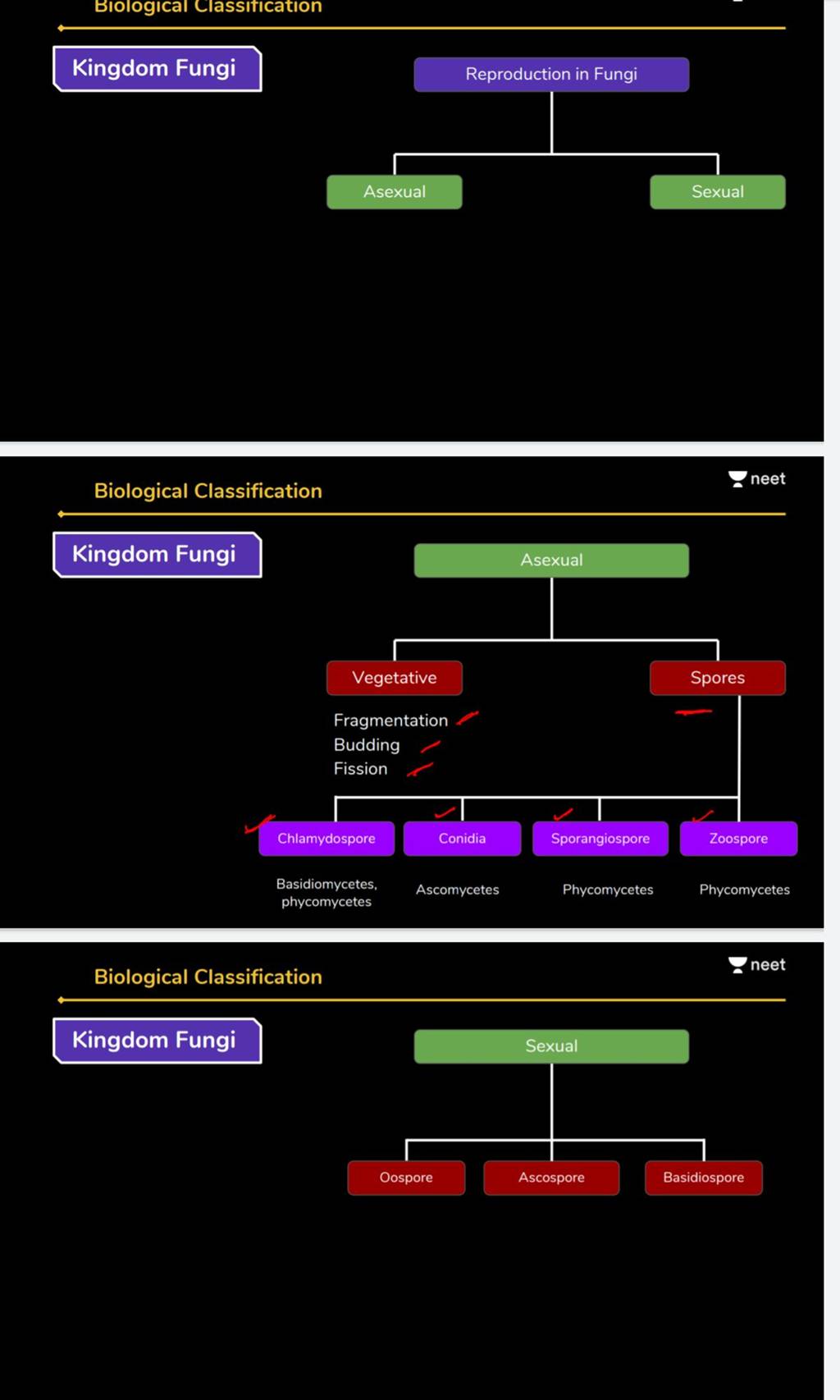 Biological ClassificationKingdom FungiBiological ClassificationKingdom..