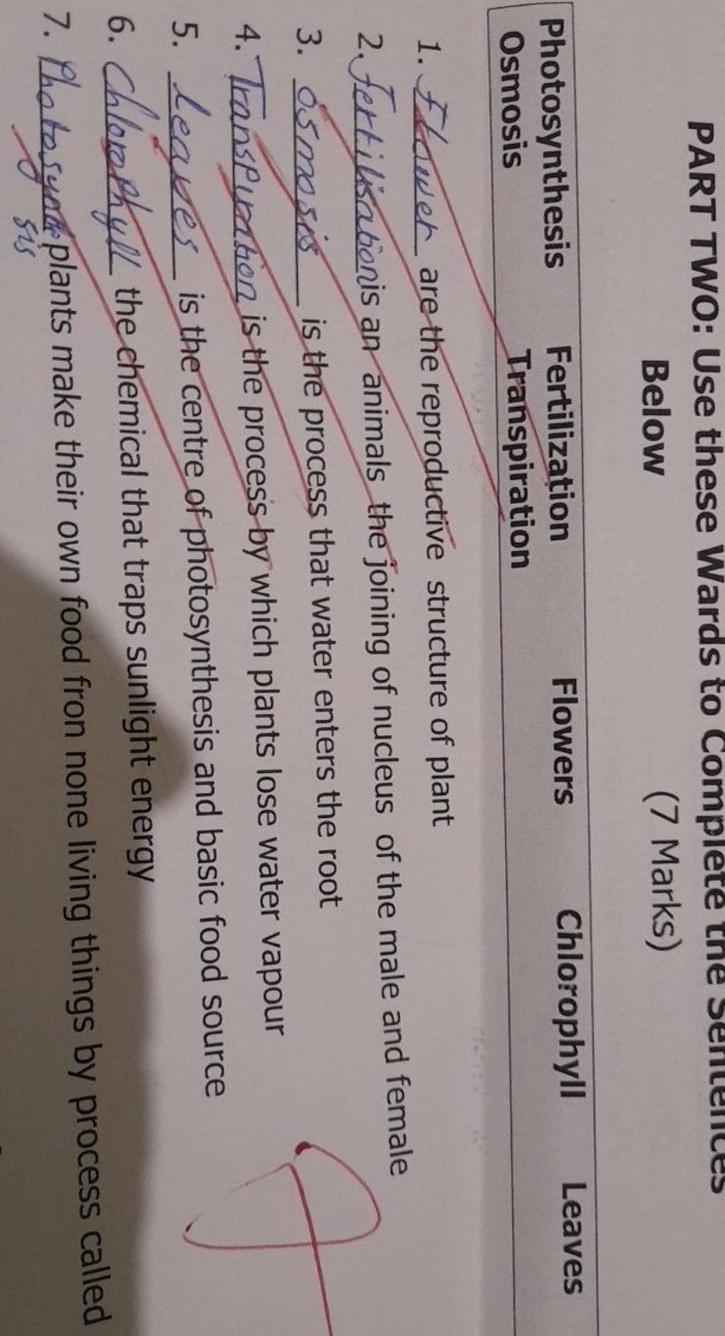 PART TWO: Use these Wards to Below (7 Marks) Photosynthesis Fertilization..