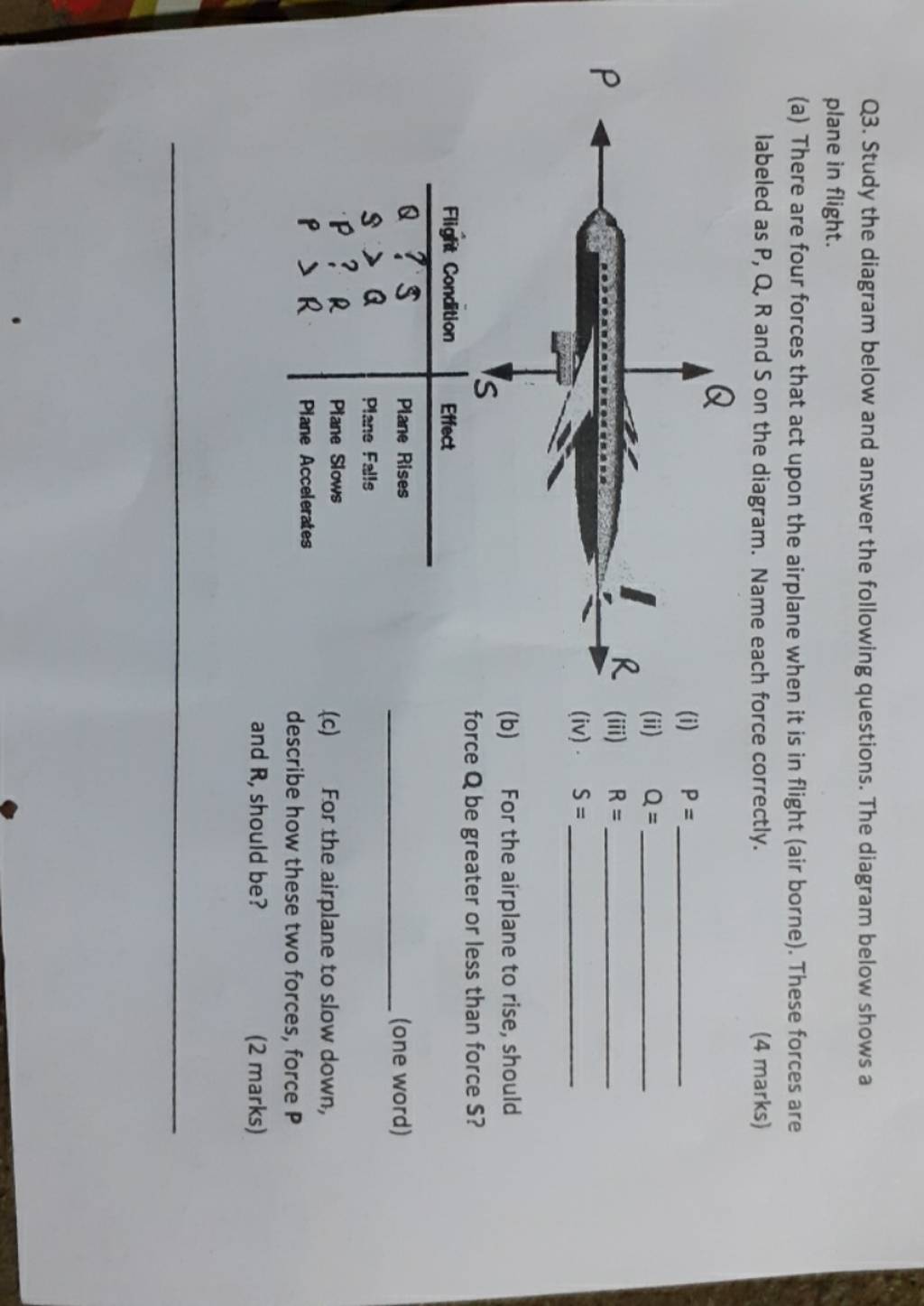 Q3. Study the diagram below and answer the following questions. The diagr..