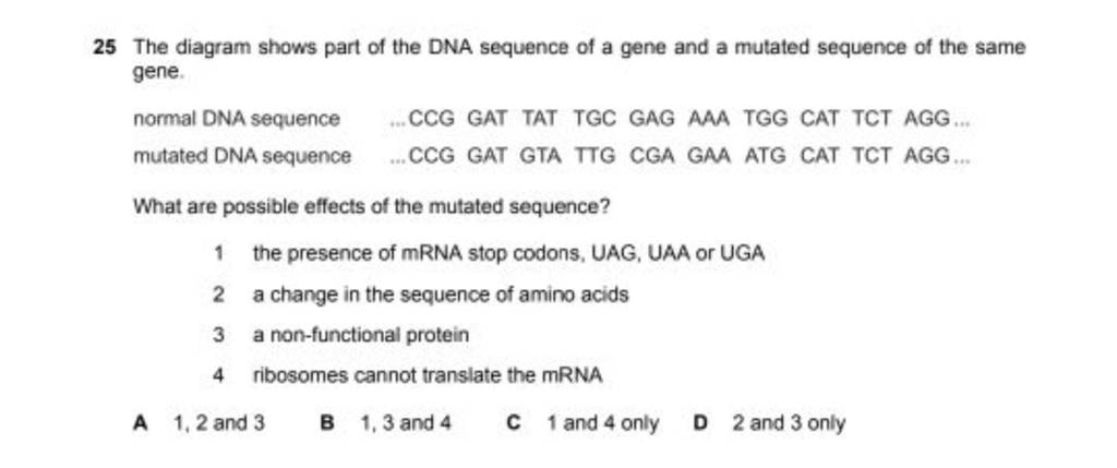 25 The diagram shows part of the DNA sequence of a gene and a mutated seq..