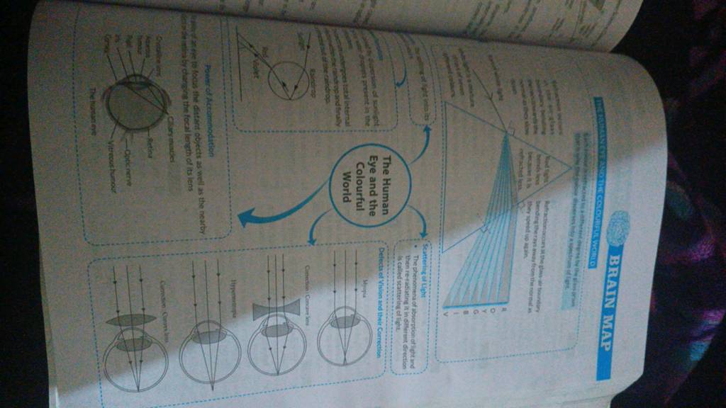 THE HUMAN BRAIN MAP AND THE COLOURFUL WORLD xture Med fight Refraction be..