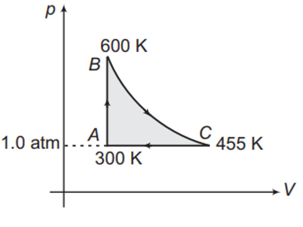 P600 K1.0 atm..AC455 K300 K | Filo