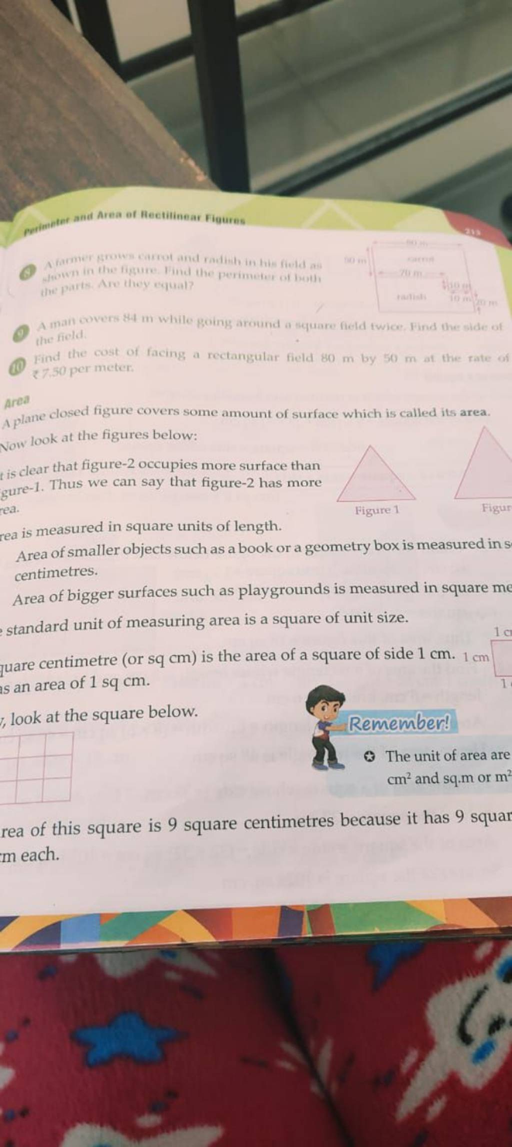 perimeter and Area of Rectilinear Figures6. A farmer grows warrot and ra..