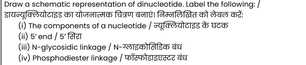 Draw a schematic representation of dinucleotide. Label the following: / ड..