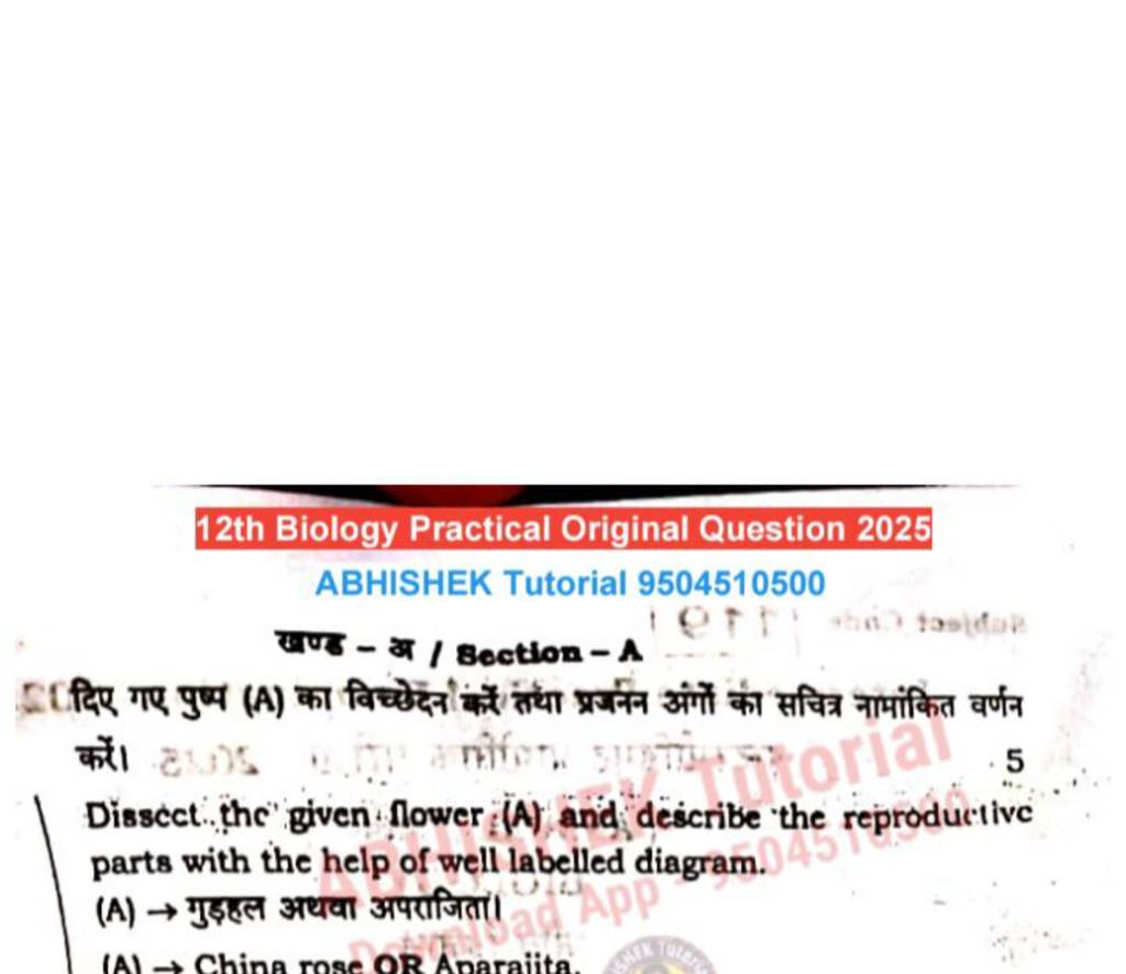 12th Biology Practical Original Question 2025 ABHISHEK Tutorial 950451050..