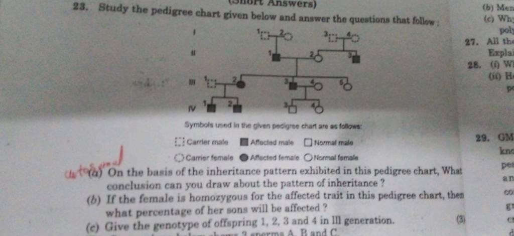 23. Study the pedigree chart given below and answer the questions that fo..