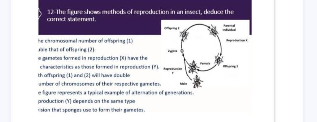 12-The figure shows methods of reproduction in an insect, deduce the corr..