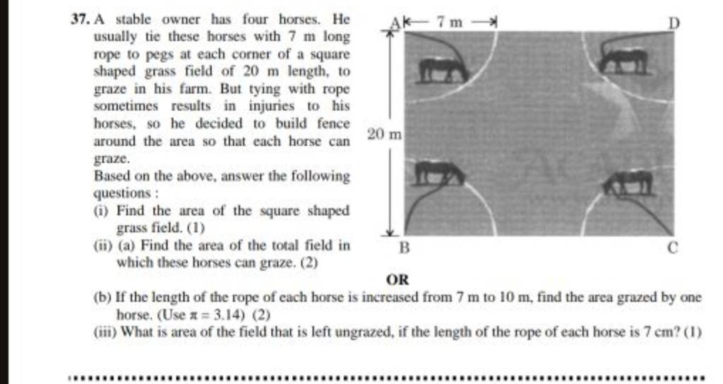 37. A stable owner has four horses. He usually tie these horses with 7 m