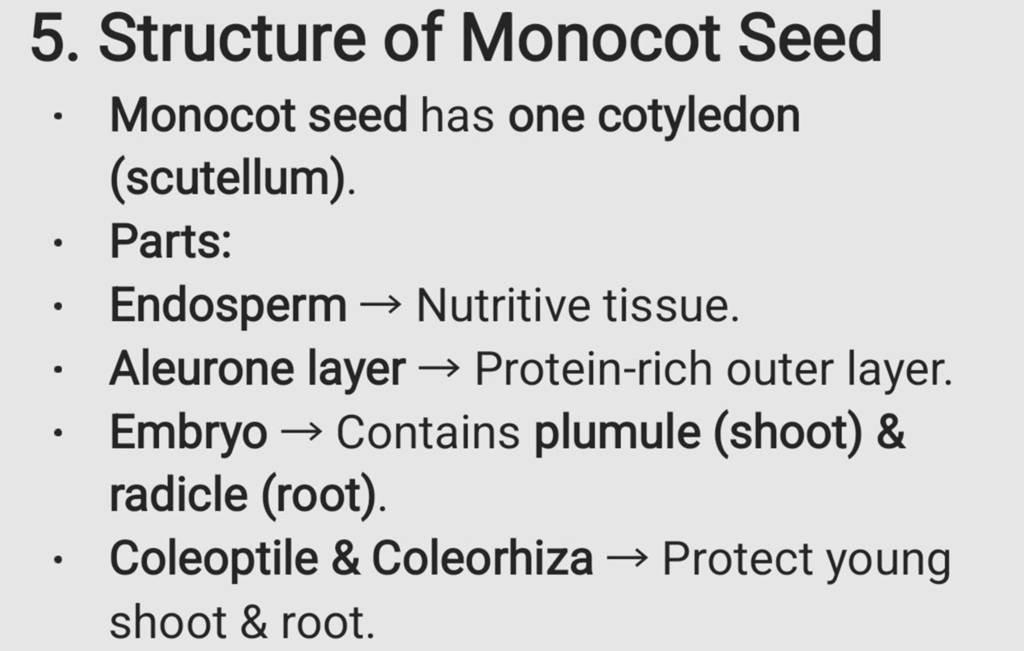 5. Structure of Monocot Seed- Monocot seed has one cotyledon (scutellum)..