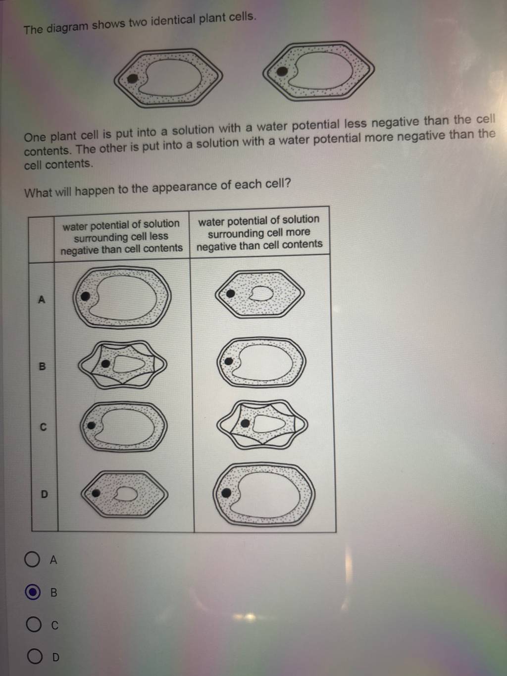 The diagram shows two identical plant cells. One plant cell is put into