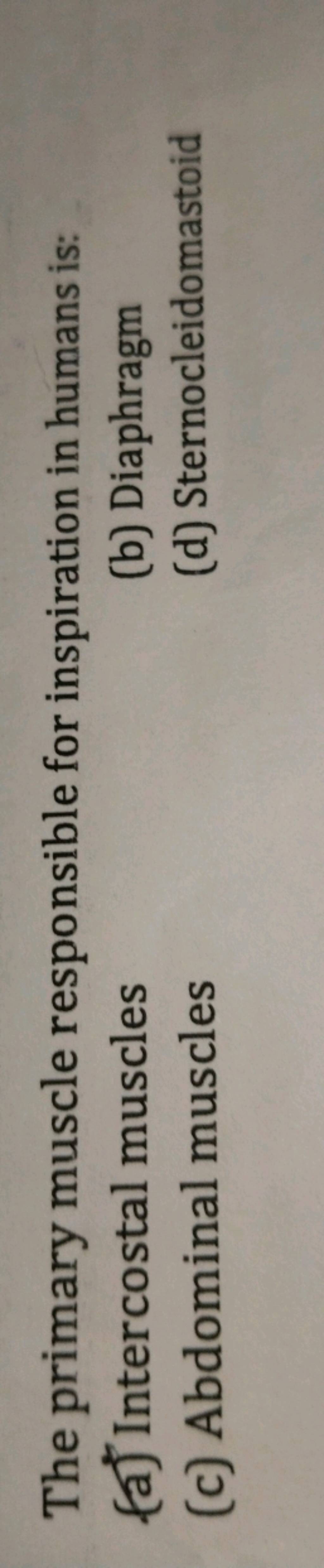 The primary muscle responsible for inspiration in humans is: (a) Intercos..