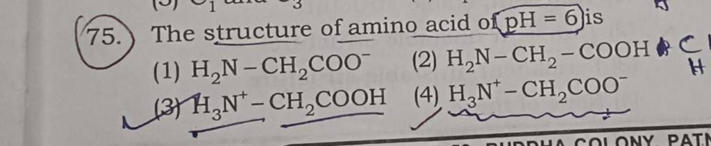 (75.) The structure of amino acid of pH=6 is(1) H2 N−CH2 COO−(2) H2 N..