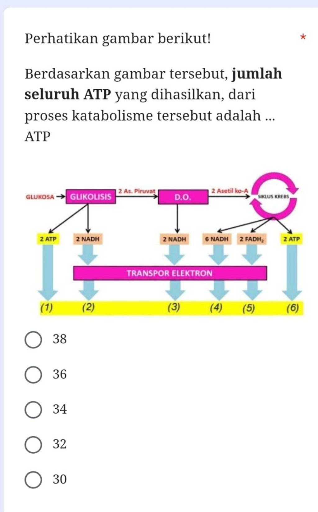 Perhatikan gambar berikut! Berdasarkan gambar tersebut, jumlah seluruh AT..