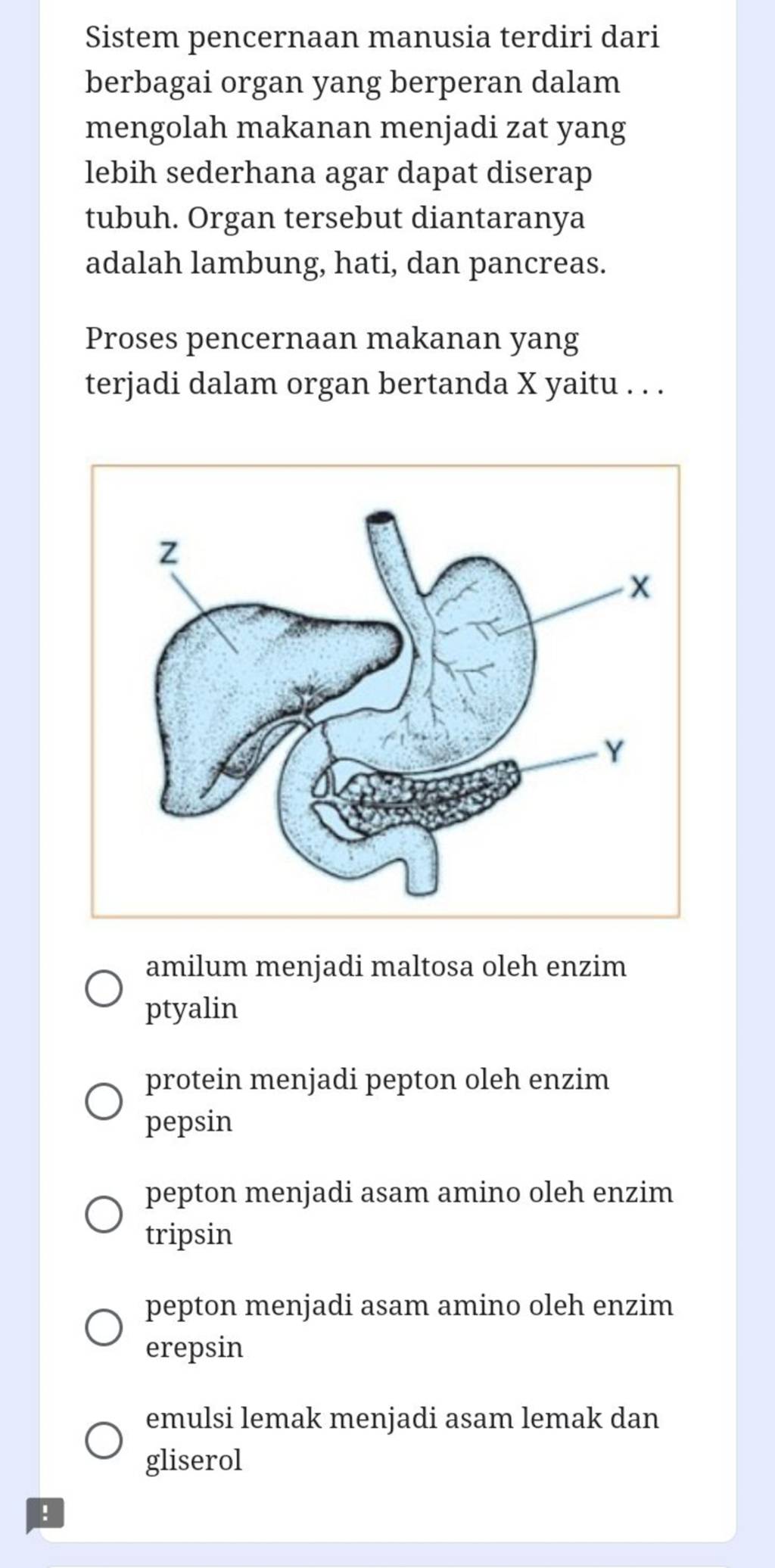 Sistem pencernaan manusia terdiri dari berbagai organ yang berperan dalam..