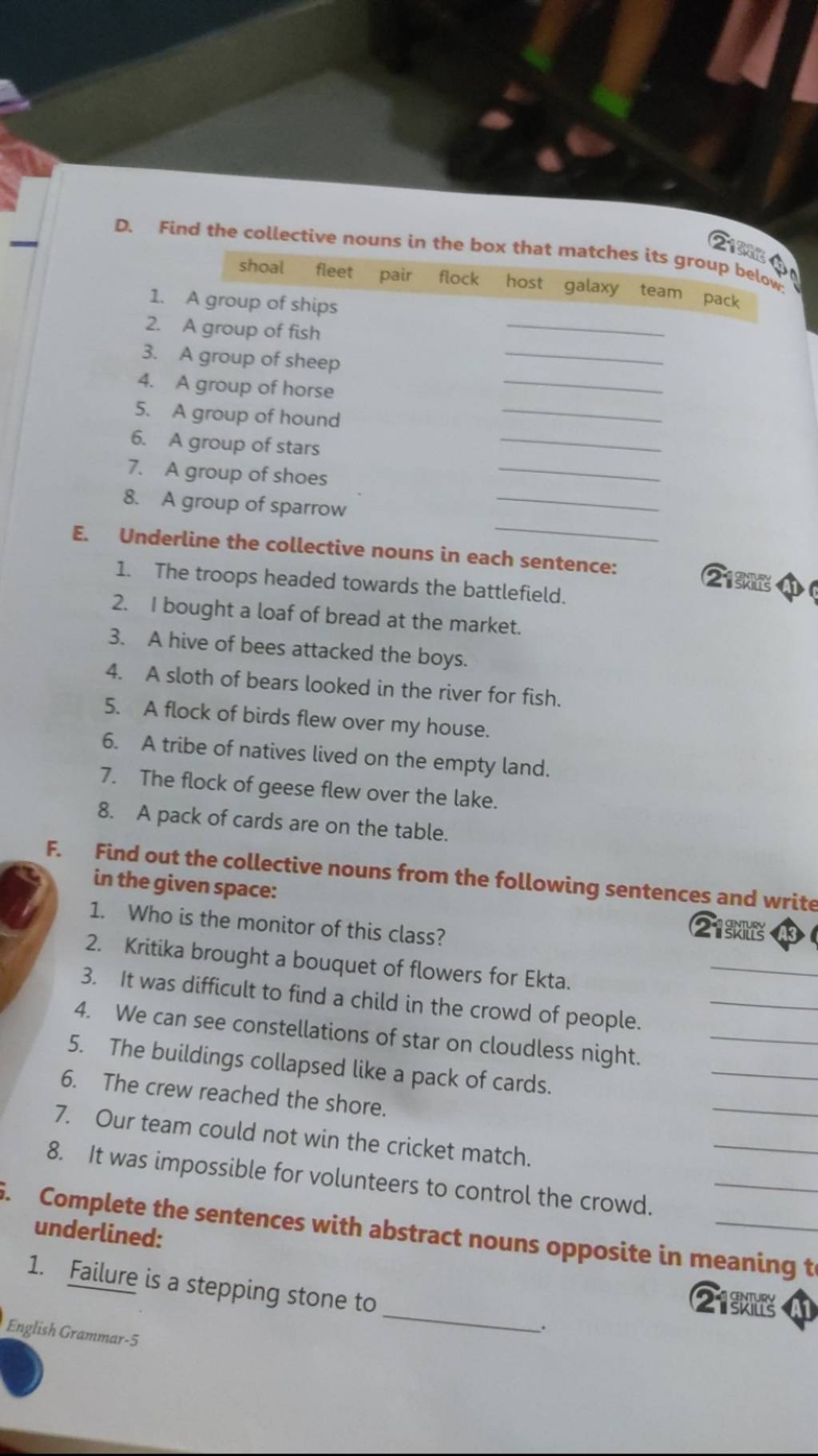 D. Find the collective nouns in the box that matches its group belshoal..
