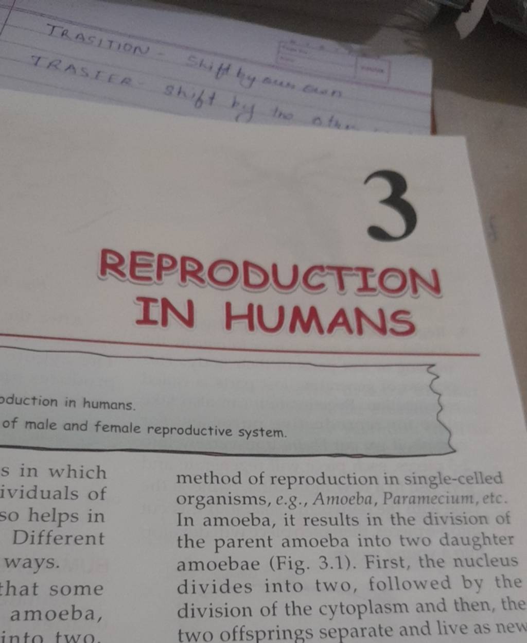 REPRODUCTION IN HUMANSoduction in humans.of male and female reproductiv..