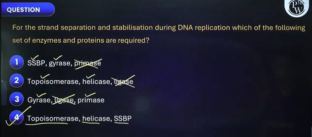 QUESTION For the strand separation and stabilisation during DNA replicati..