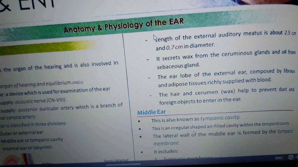 Anatomy & Physiology of the EAR s the organ of the hearing and is also in..