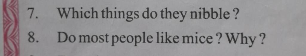 Which things do they nibble? Do most people like mice? Why? | Filo