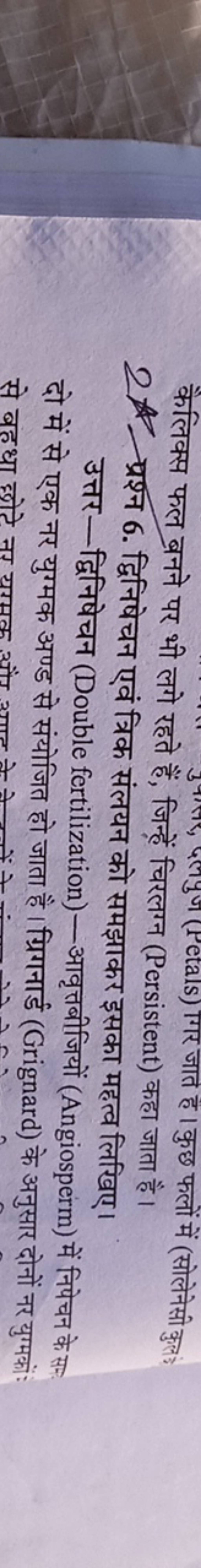 कैलिक्स फल बनने पर भी लगे रहते हैं, जिन्हें चिरलग्न (Persistent) कहा जाता..