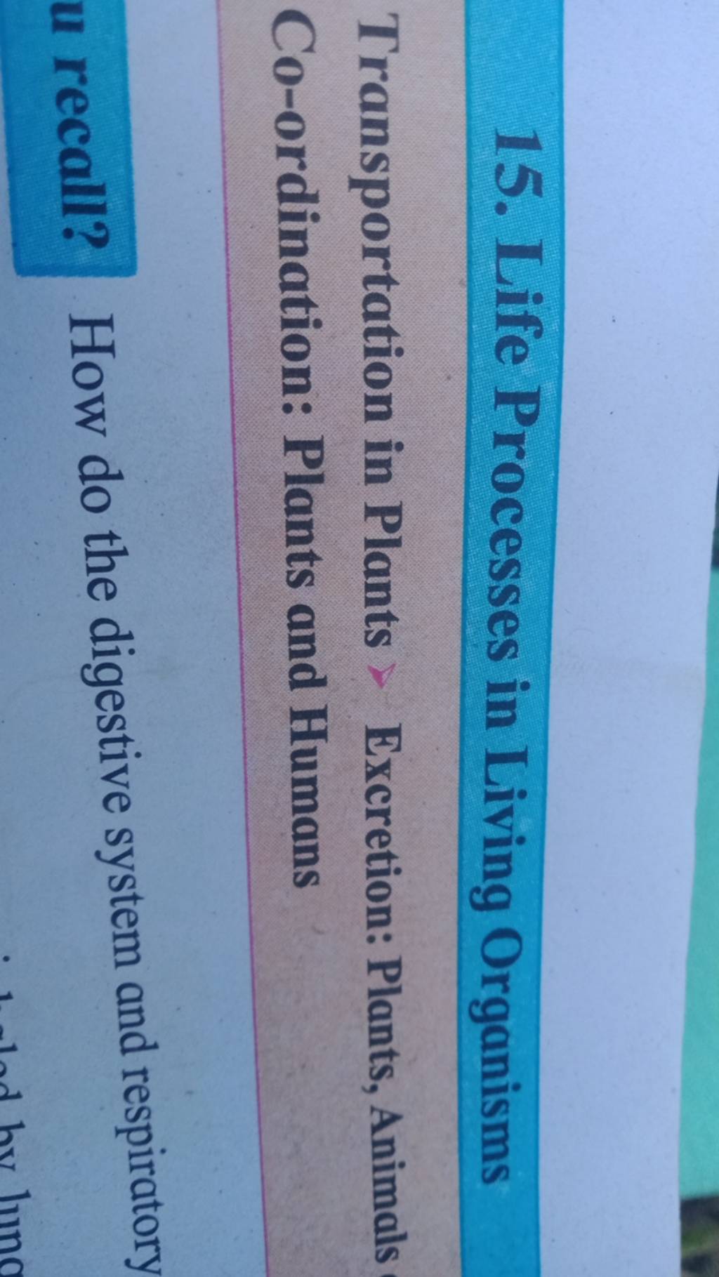 Life Processes in Living Organisms Transportation in Plants Excretion: Pl..