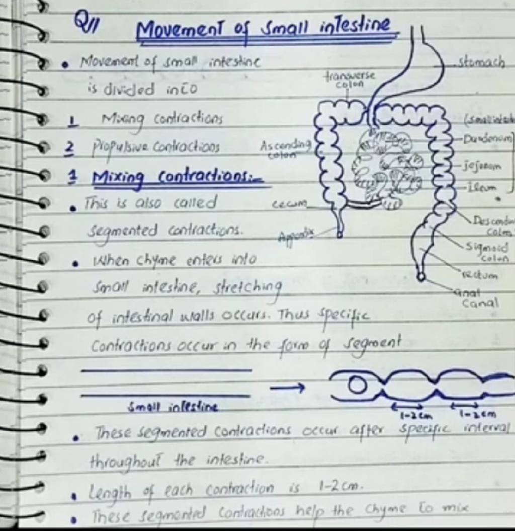 Movement of Small intestine Movement of small intestine is divided into 1..