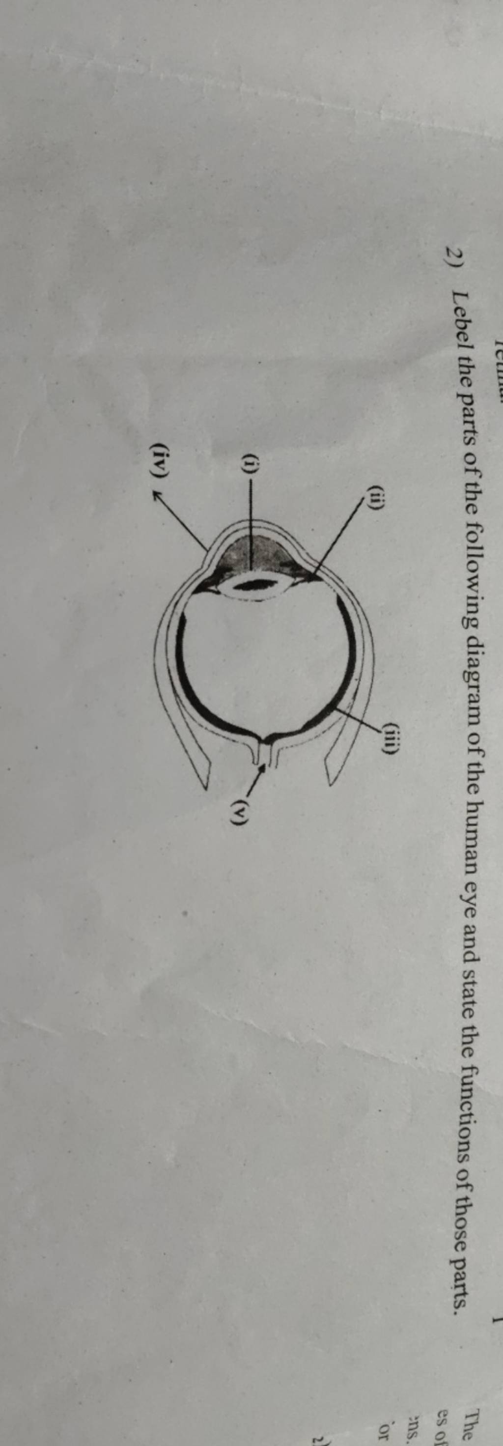 2) Lebel the parts of the following diagram of the human eye and state th..
