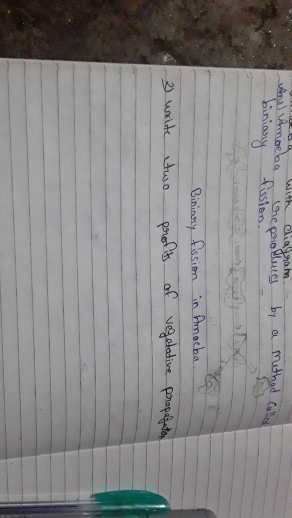 As Amoeba biniary fission. diagram. reproduces by a method Called 3 write..