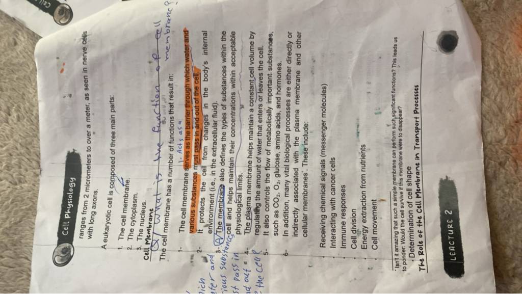 Rich Cell Physiology ranges from 2 micrometers to over a meter, as seen i..