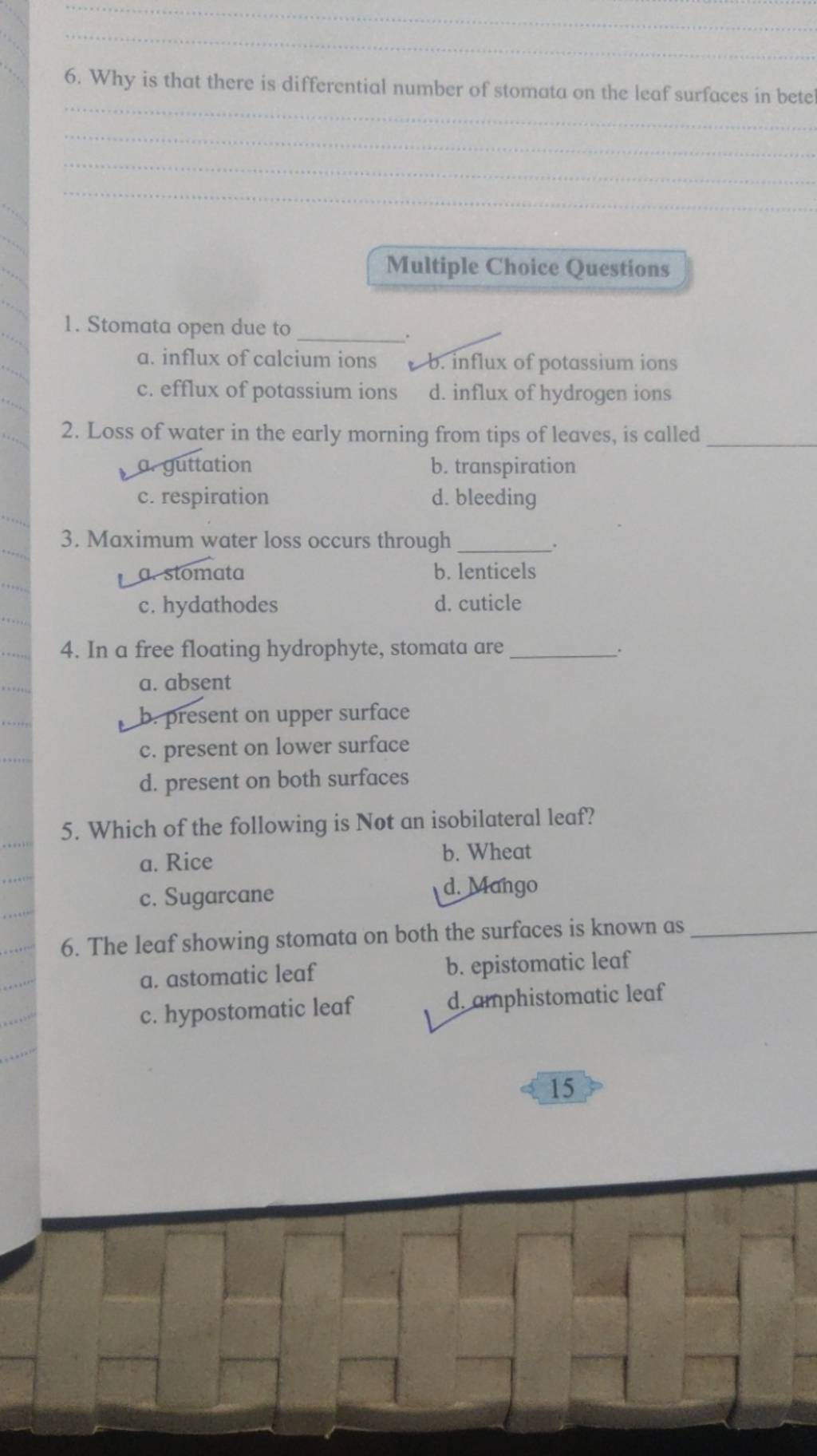 Why is that there is differential number of stomata on the leaf surfaces