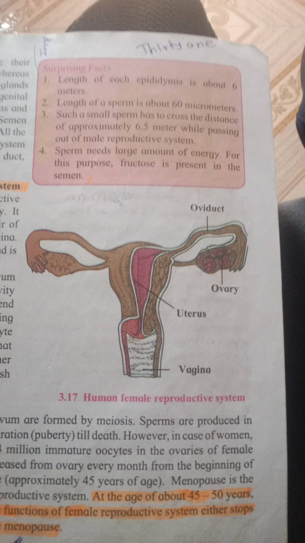 their whereas glands genital ns and Semen All the ystem duct, Surprising