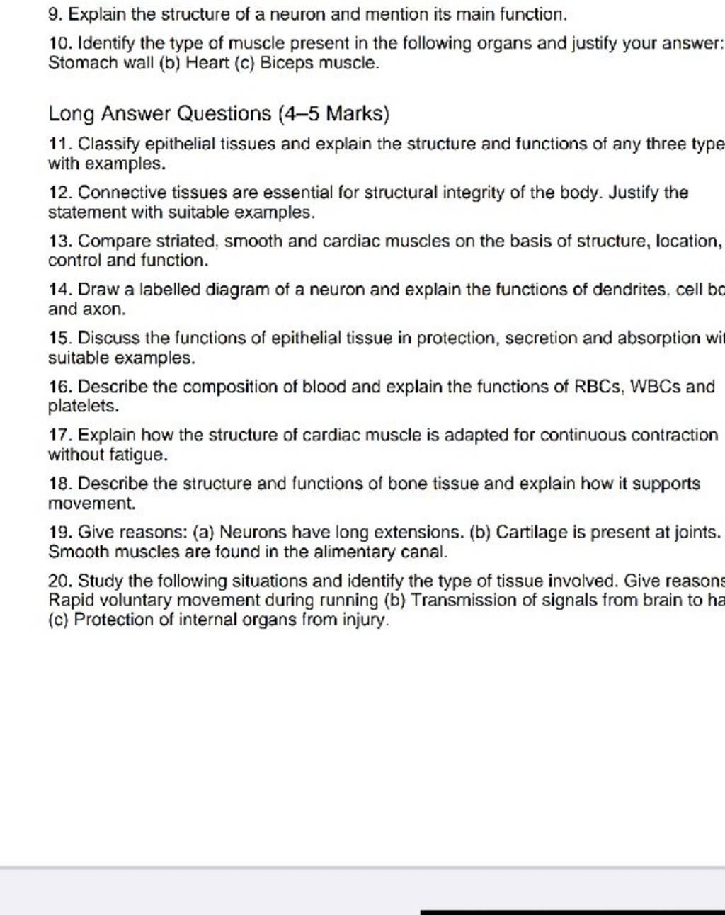 Explain the structure of a neuron and mention its main function. Identify..